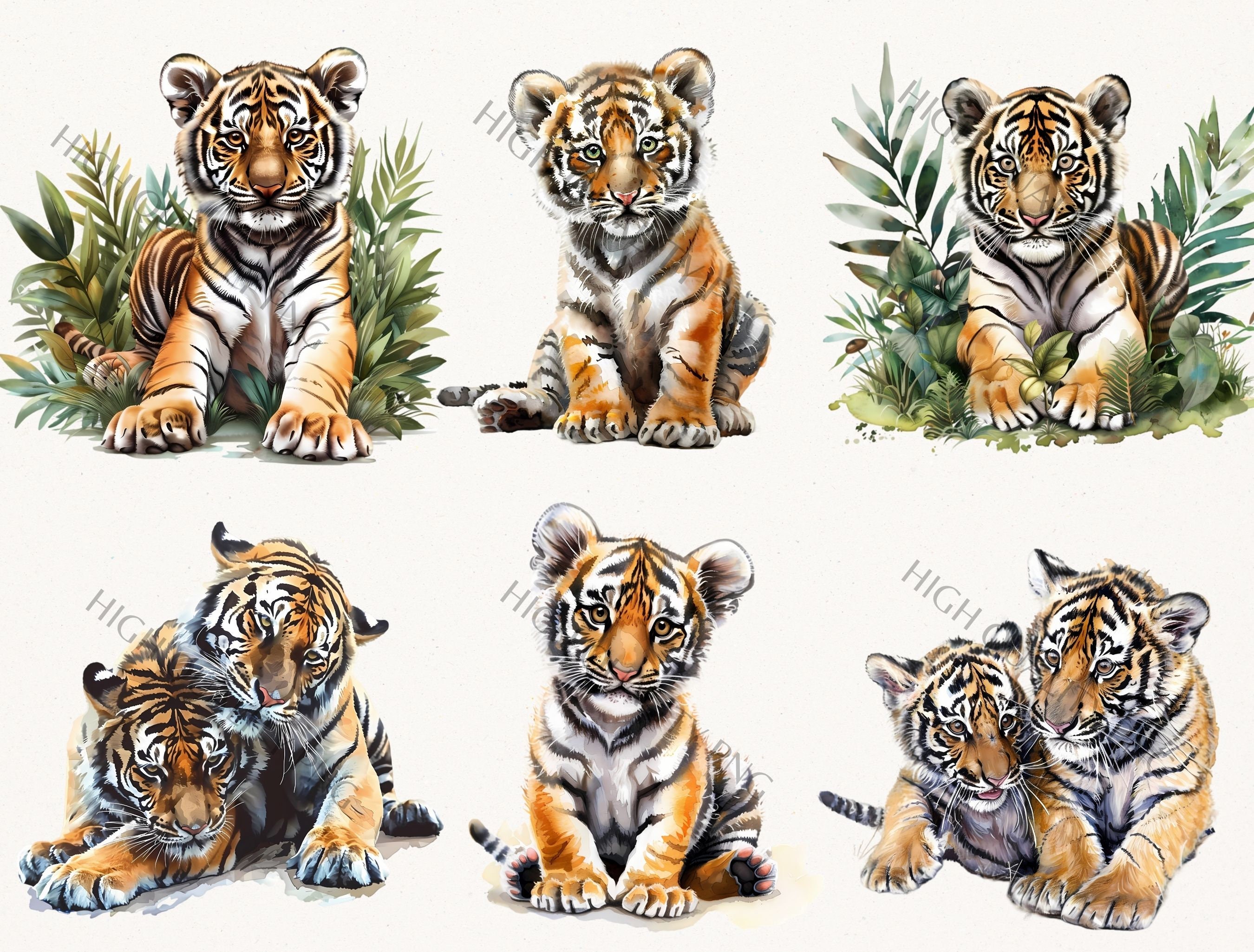 Tigers Clipart, Realistic Watercolor Style Tiger Graphics, Jungle ...