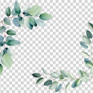 Watercolor Eucalyptus Clipart 38 PNG Greenery Set Baby Shower Green ...