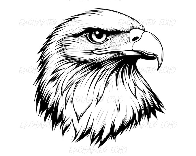 Eagle Head SVG File, Eagle Head DXF, Eagle Head Png, Bald American ...