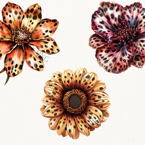 Leopard Print Flower Clipart Set - 18 Watercolor Leopardprint Flowers ...