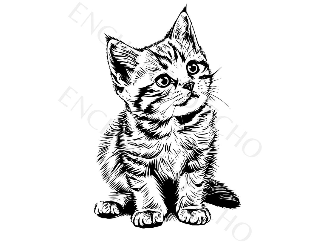 Cute Kitten SVG and PNG Set - Cute Kitten Svg - Tabby Cat Svg ...