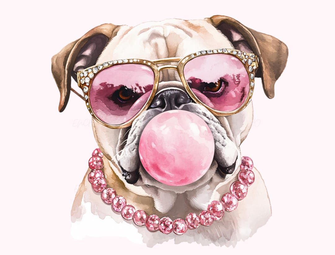 Pink Bulldog Dog Pink Bubble Gum Png Funny Dog Meme Png Cute Bulldog ...