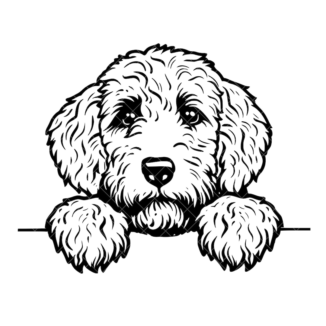 Peeking Goldendoodle SVG + PNG Set - Peeking Golden Doodle Dog Clipart ...