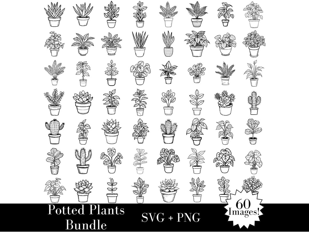 Potted House Plants SVG & PNG Bundle - 60 Indoor Plants Included, 120 ...
