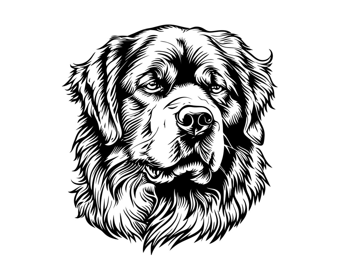 Newfoundland Dog Face SVG Image Newfoundland Png Dog Breeds Svg Cute ...