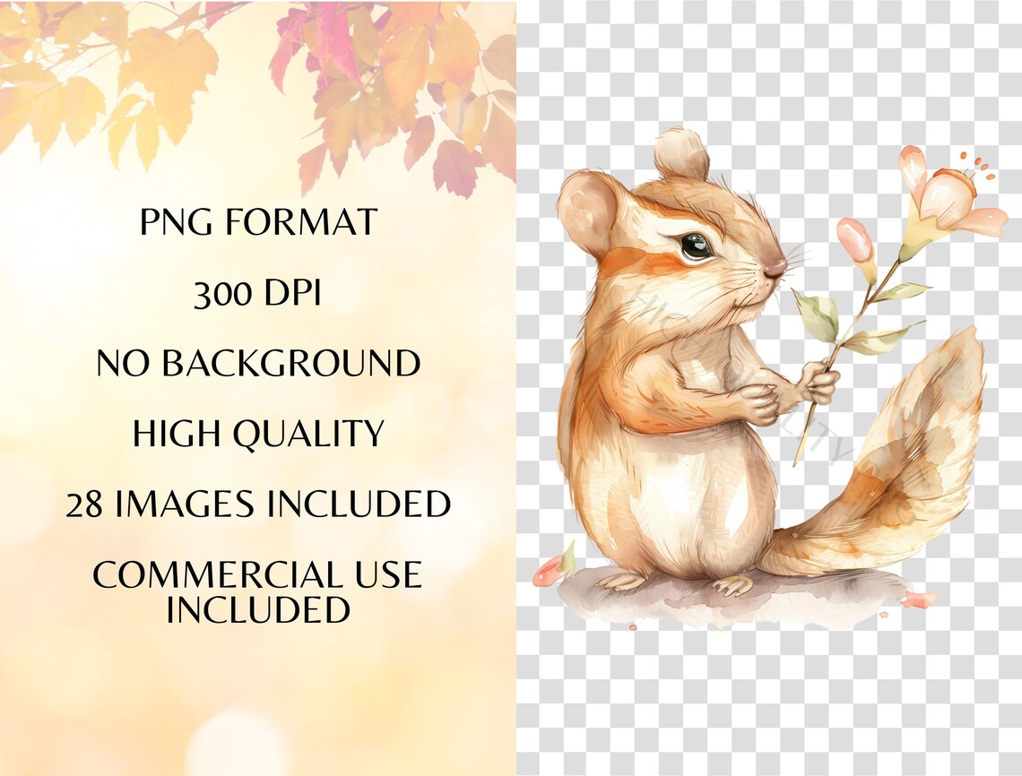 Cute Chipmunks Clipart Bundle Pack of 24 Images Woodland Baby Animals ...