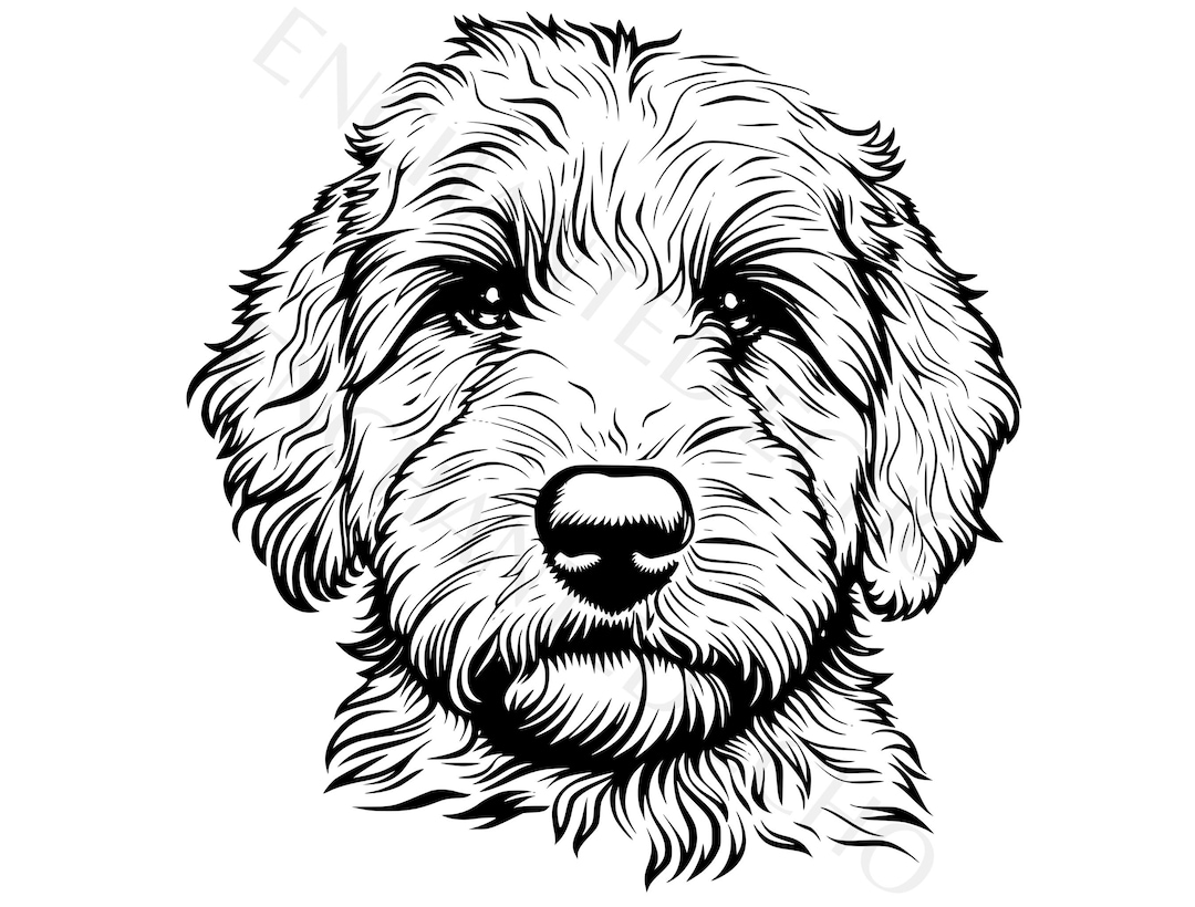 Goldendoodle Puppy SVG Image Baby Goldendoodle Dog SVG File High ...