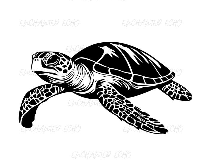 Sea Turtle SVG + PNG Set - Marine Animal Clipart, Realistic Ocean ...