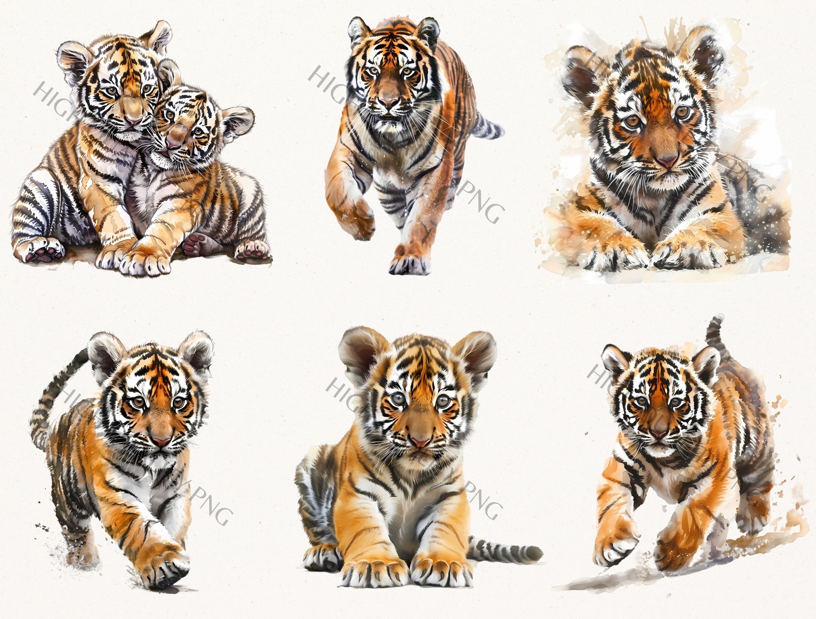 Tigers Clipart, Realistic Watercolor Style Tiger Graphics, Jungle ...