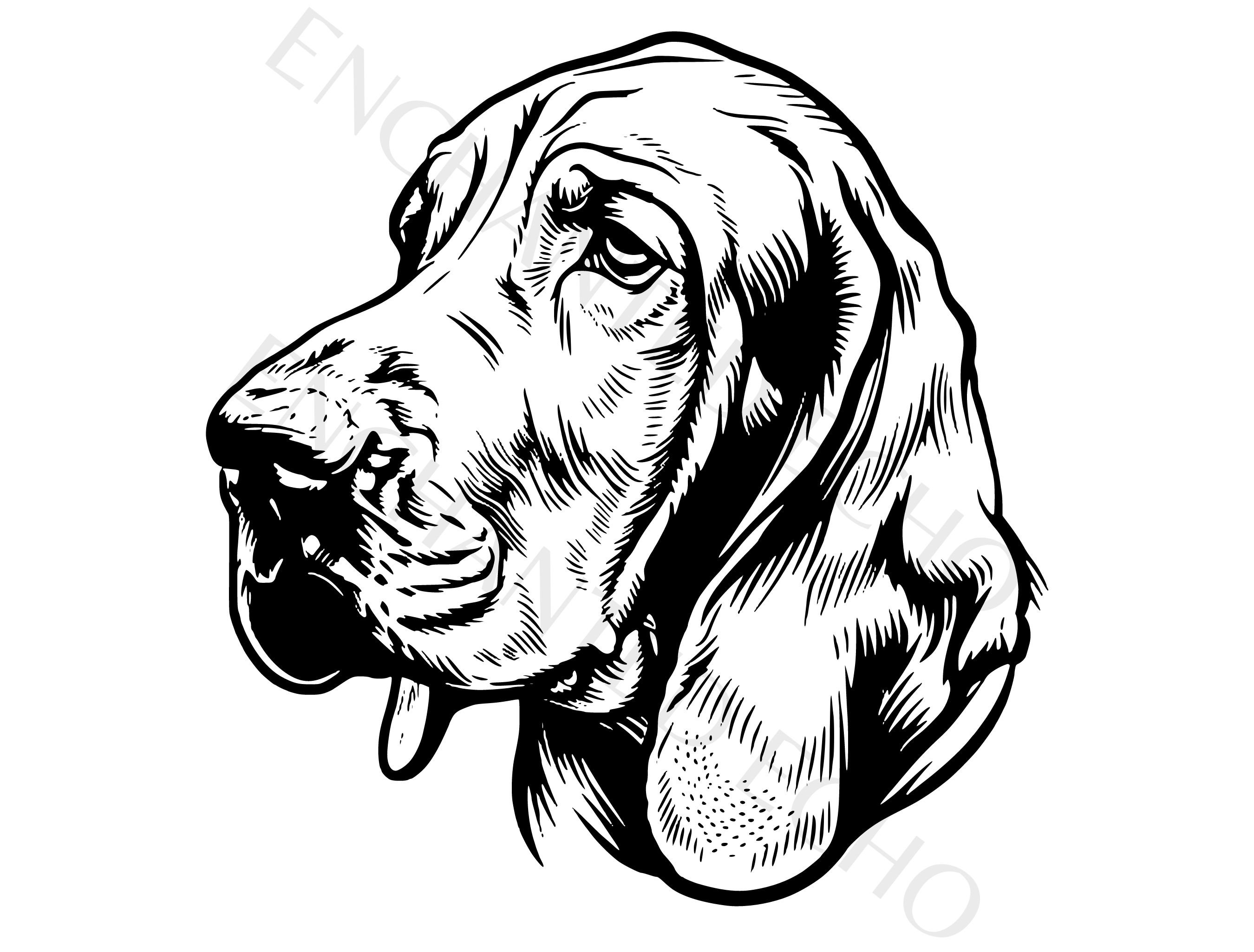 Bloodhound Face Svg I Bloodhound Head Png I Cute Dog Clipart ...