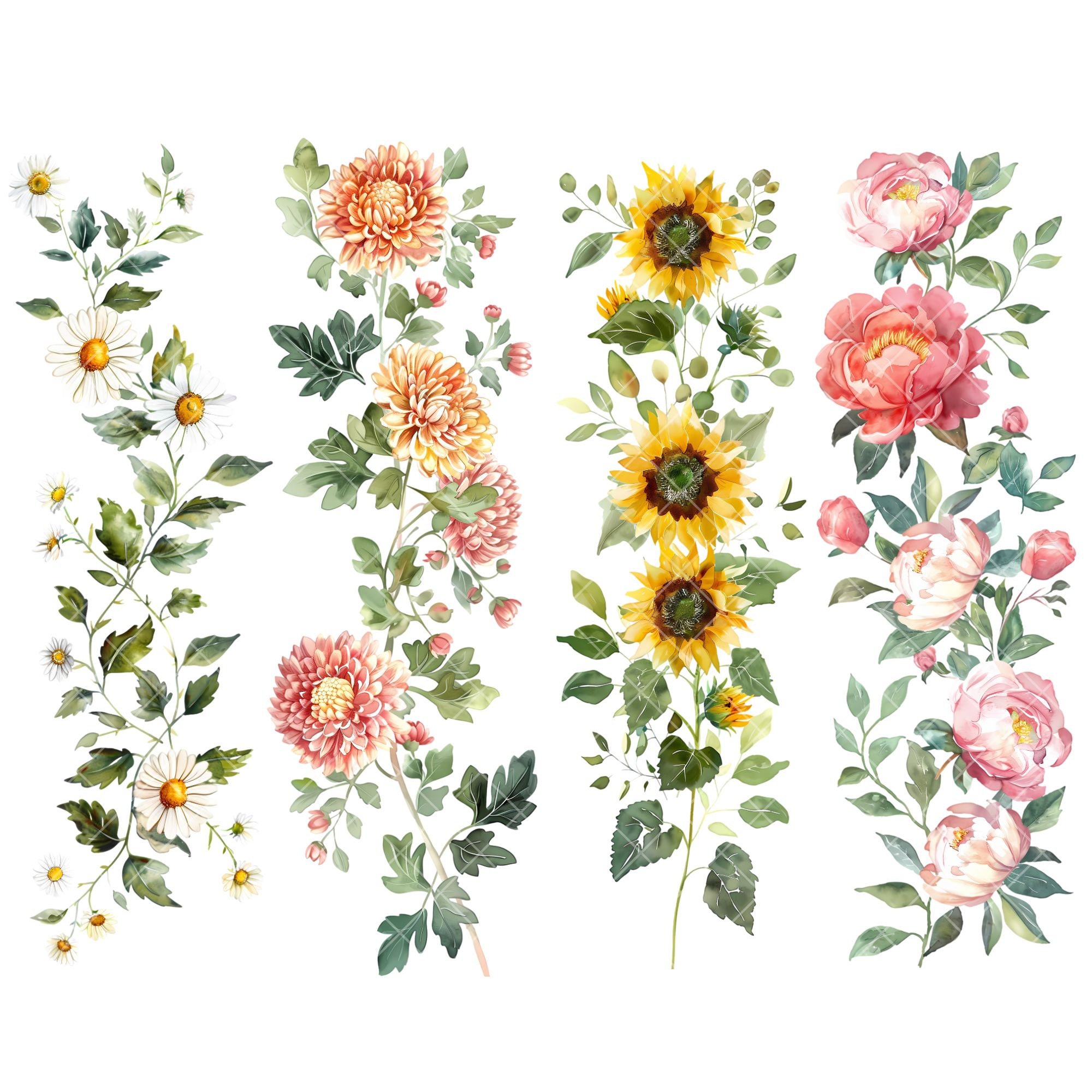 Vertical Floral Borders PNG Watercolor Frame Clipart 25 Flower Images ...