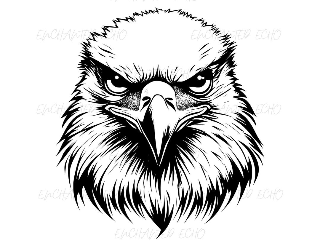 Bald Eagle Face SVG + PNG Set - American Eagle Head Clipart (digital ...