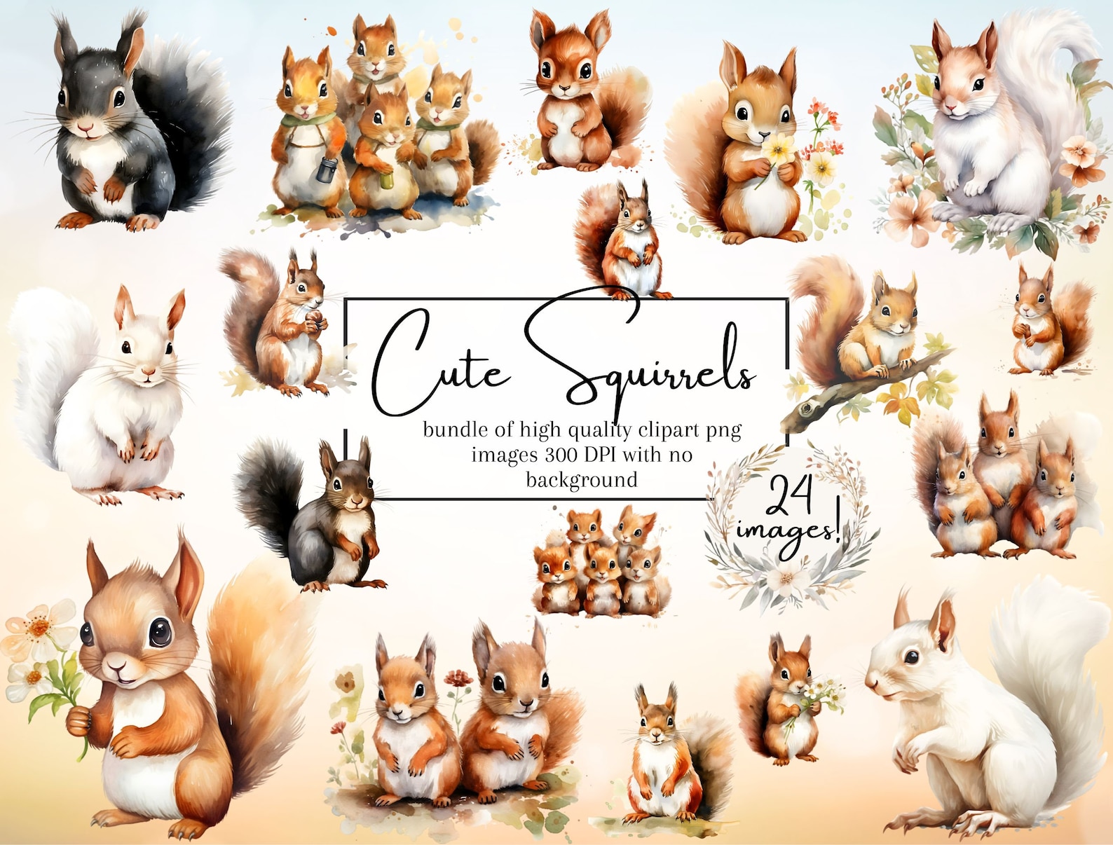 Cute Squirrels Clipart Cute Squirrel Watercolor Clipart Squirrel Png 24 ...