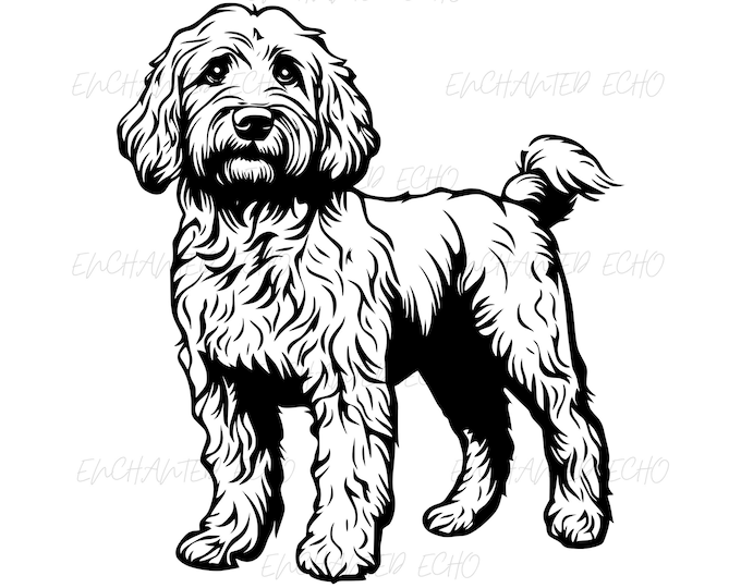 Golden Doodle Dog Svg, Golden Doodle Svg, Doodle Dog Breed, Dog Face ...