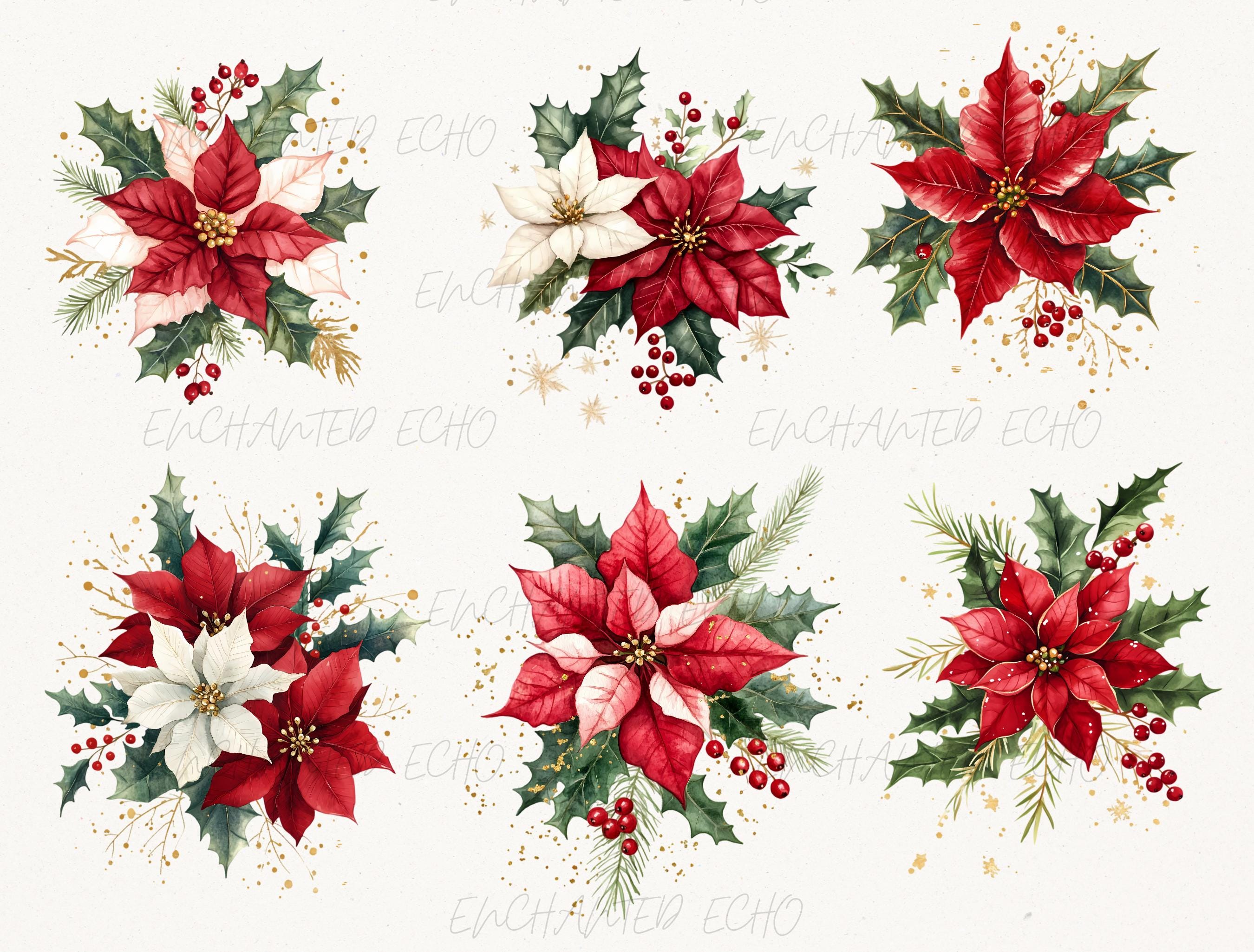 Watercolor Poinsettia Clipart Set - 16 Winter Flowers Poinsettia Pngs ...