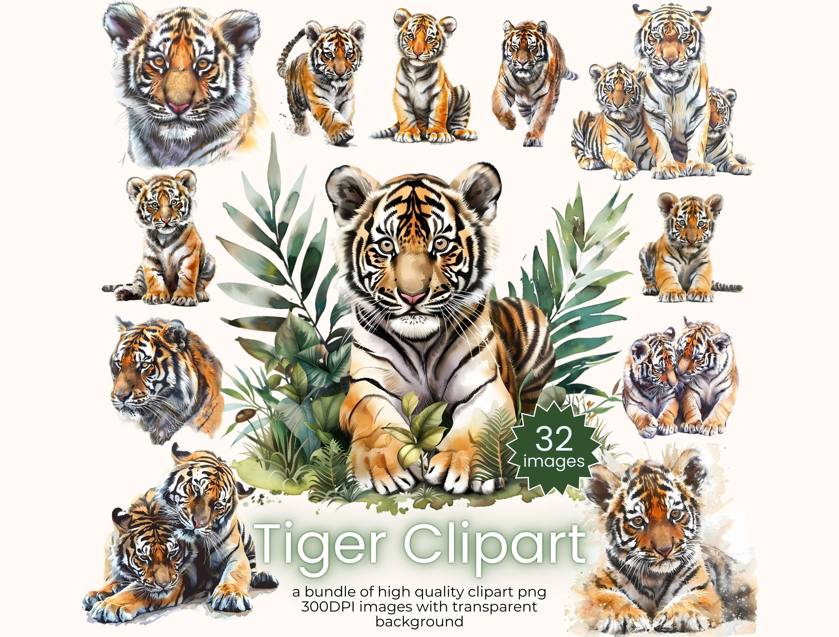 Tigers Clipart, Realistic Watercolor Style Tiger Graphics, Jungle ...