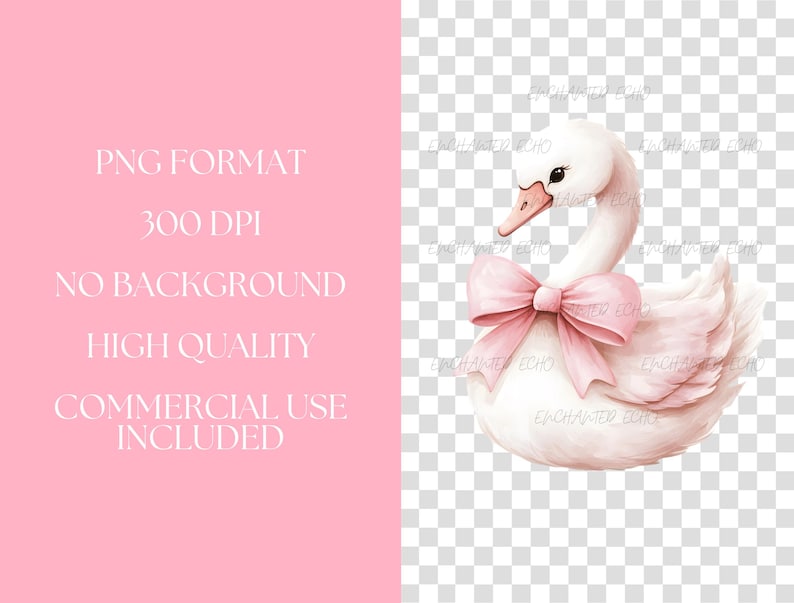 Pink Bow Swan Clipart – Watercolor Ballet Swan PNG, Coquette Swans ...
