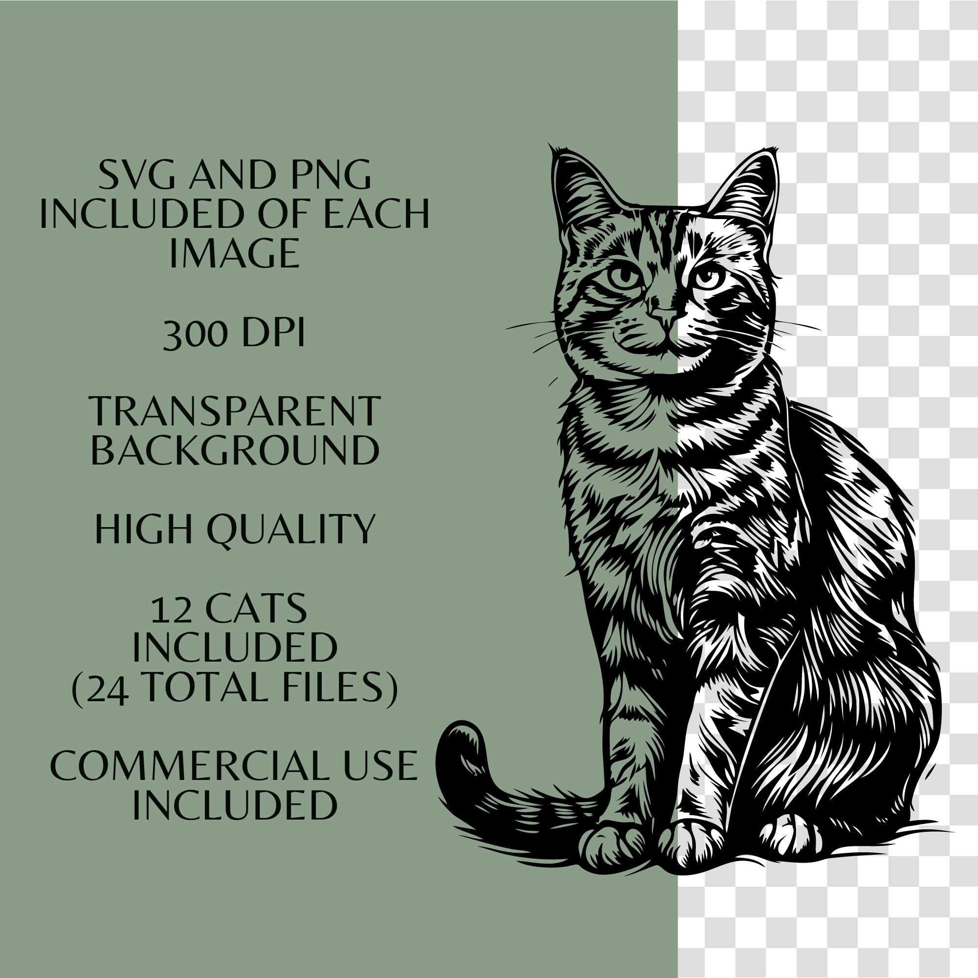 Tabby Cats SVG and PNG 12 Cats Included - Etsy