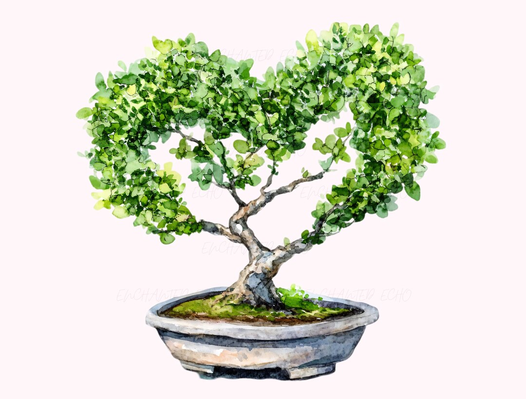 Heart Tree Valentines Png - Bonsai Tree Valentines Heart Png, Tree ...