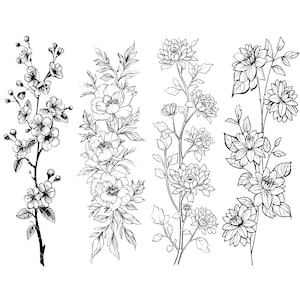 Vertical Floral Borders SVG & PNG Bundle - 24 Flower Images, 48 Total ...