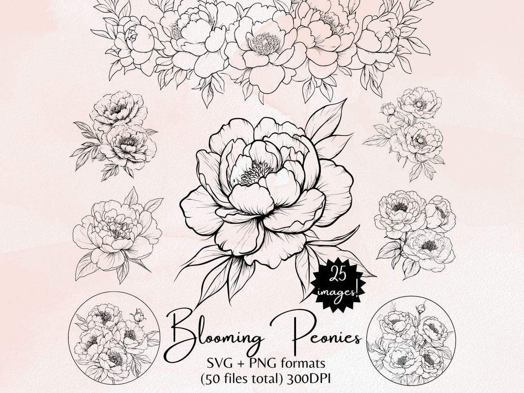 Blooming Peonies SVG & PNG Bundle - 25 Images 50 Total Files - Delicate ...