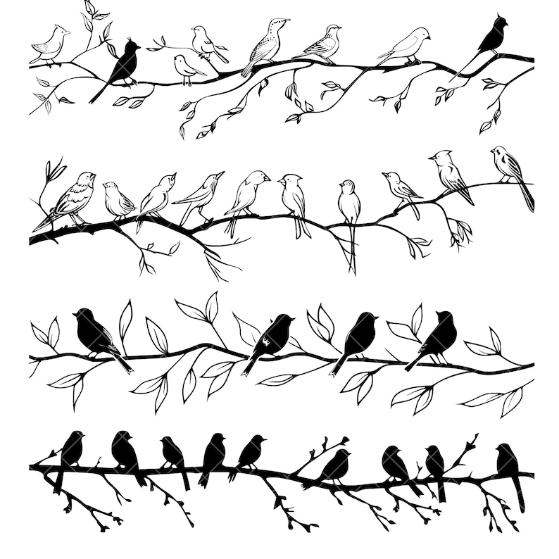 Birds on Branch SVG + PNG Bundle – Bird Border Sublimation Design - Etsy