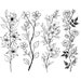 Vertical Floral Borders SVG + PNG Bundle – Delicate Flower Sketch ...
