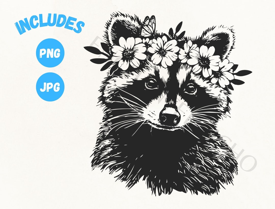 Raccoon With Flower Png Flower Raccoon Png Girl Cute Raccoon Png ...