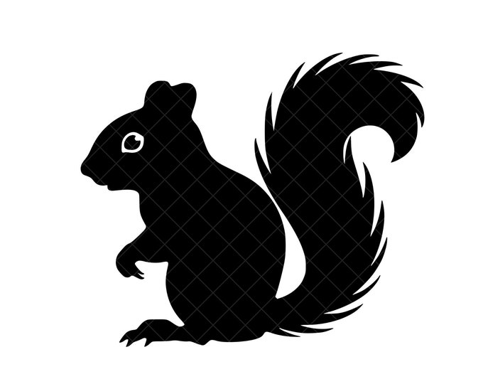 Squirrel Svg Squirrel Png Cute Squirrel Svg Squirrel Clipart Woodland ...