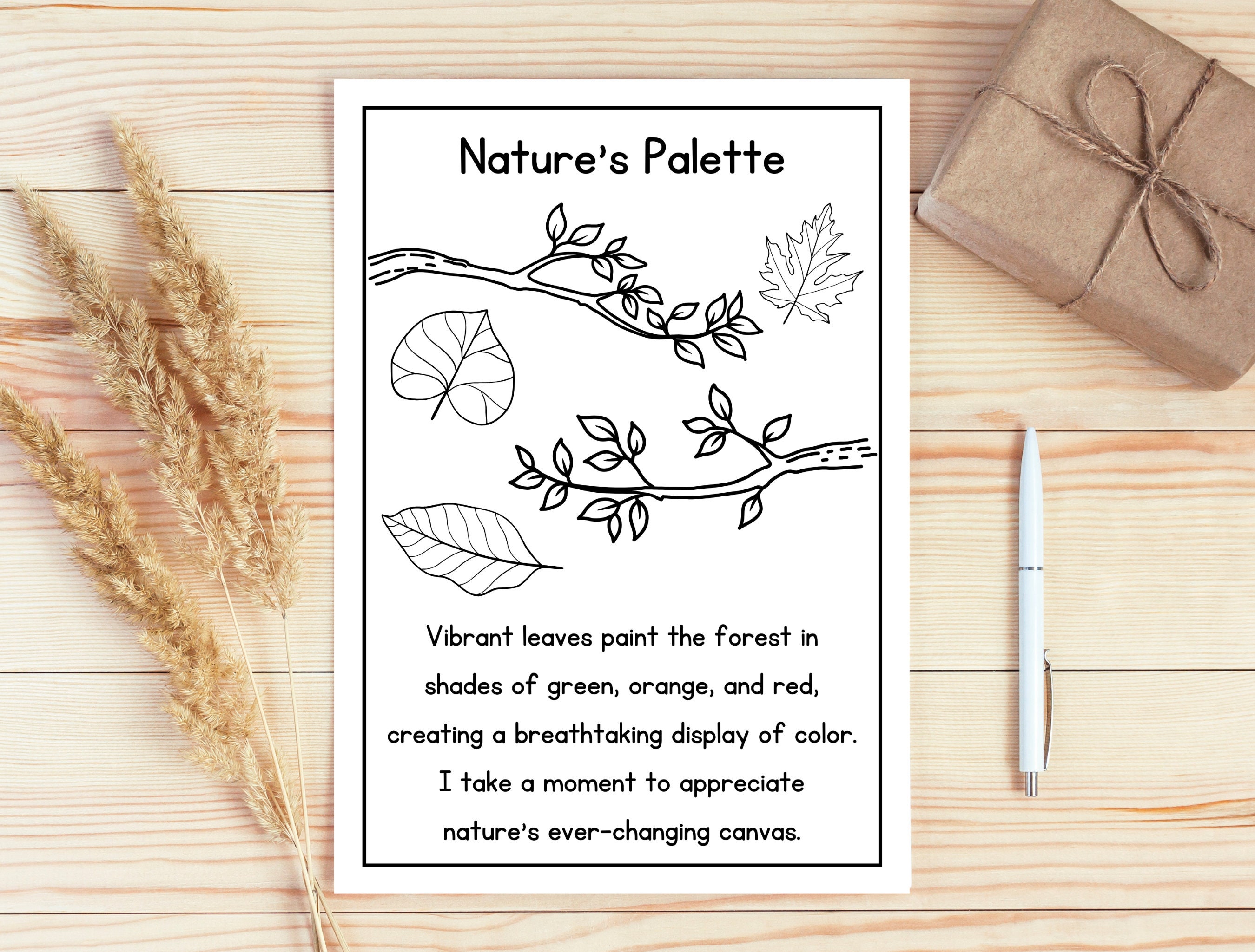 My First Hike Coloring & Educational Book, Printable PDF Downloadable ...