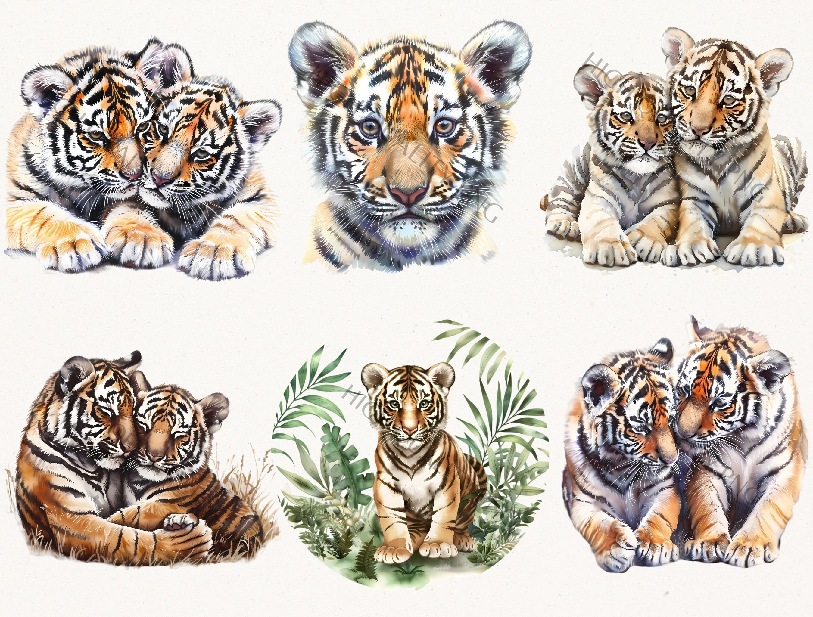 Tigers Clipart, Realistic Watercolor Style Tiger Graphics, Jungle ...