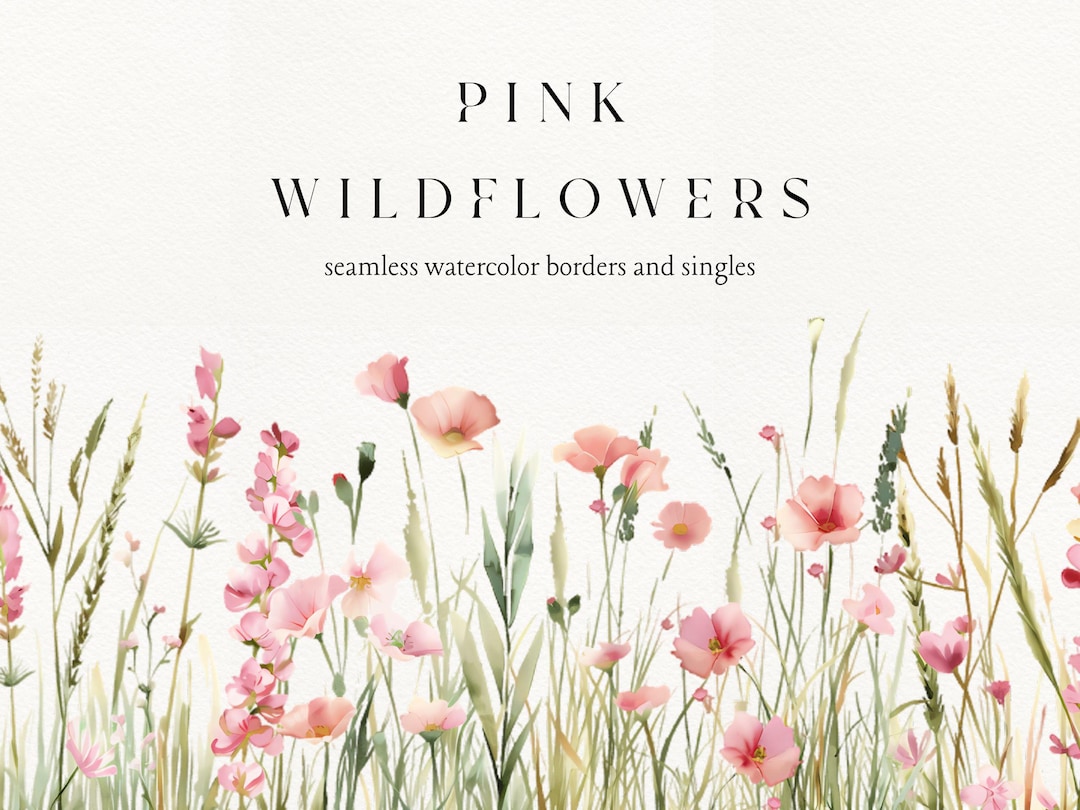Buy Pink Wildflower Watercolor Clipart Bundle – Floral Meadow Borders ...