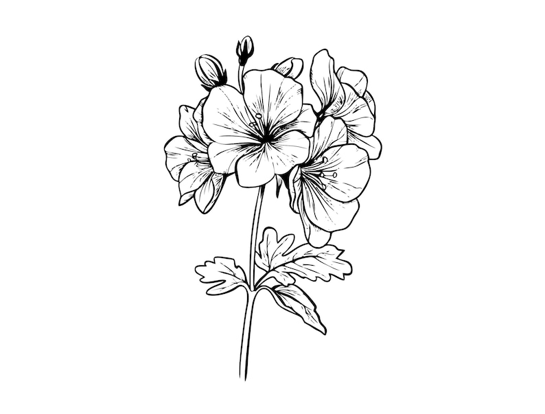 Geranium Flowers SVG Floral SVG Delicate Wild Flower SVG Flower Svg ...