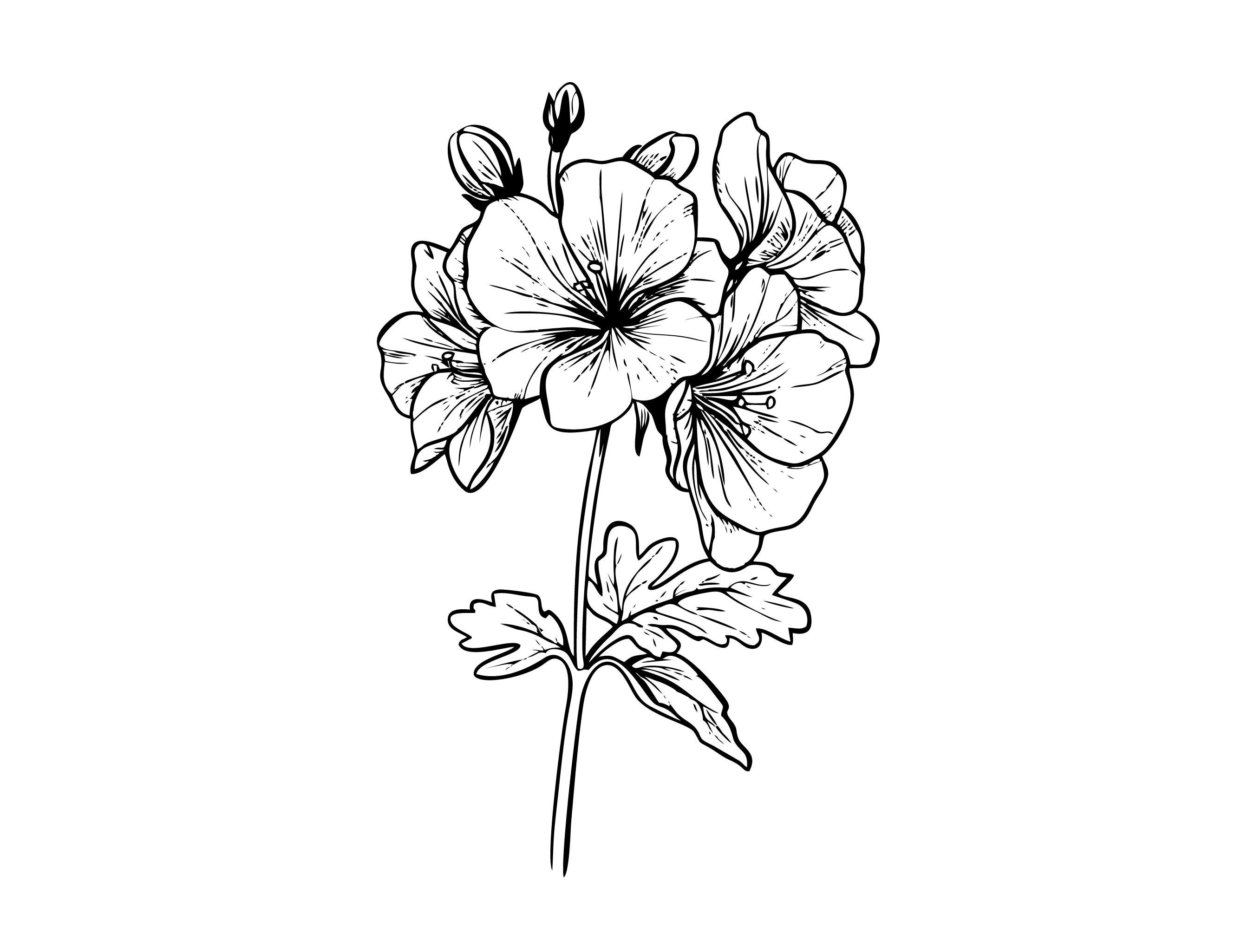 Geranium Flowers SVG Floral SVG Delicate Wild Flower SVG Flower Svg ...