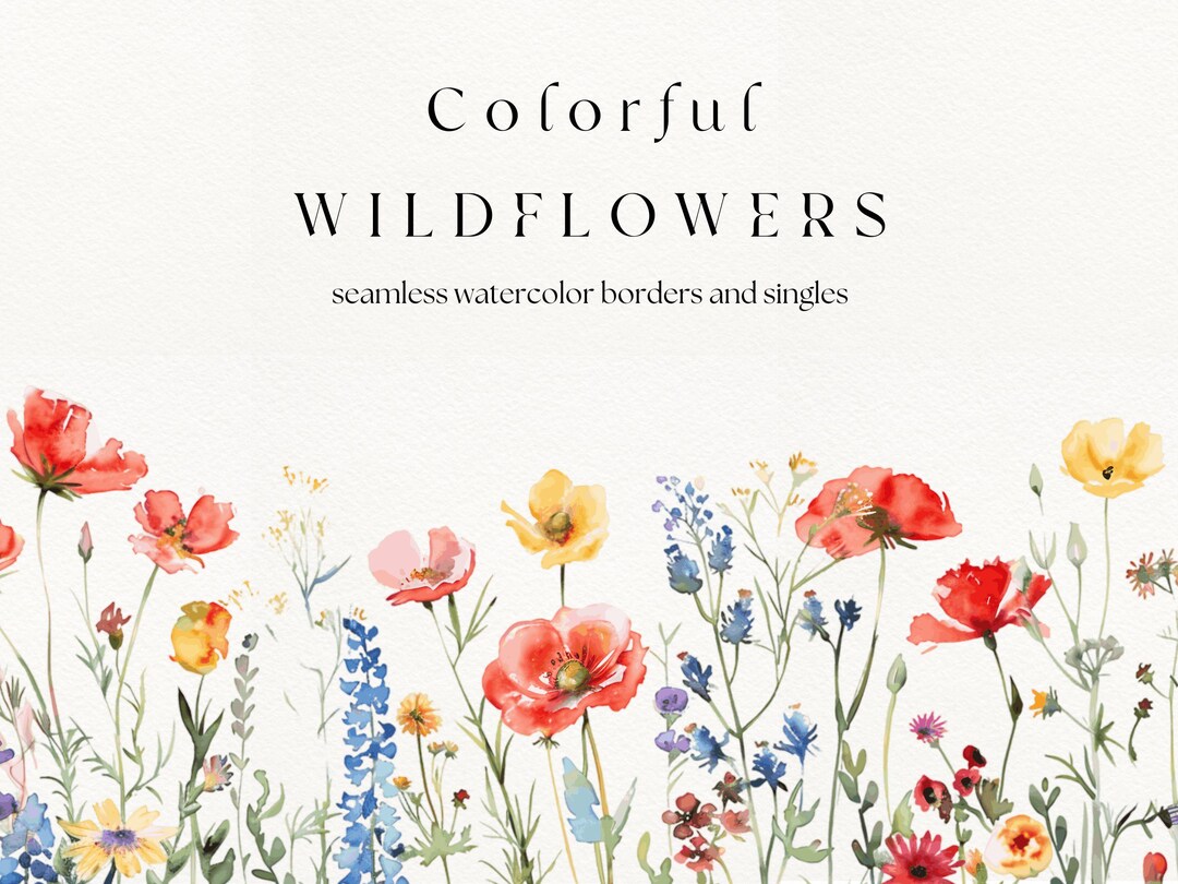 Colorful Wildflower Clipart - Flower Borders + Bunches - Watercolor ...