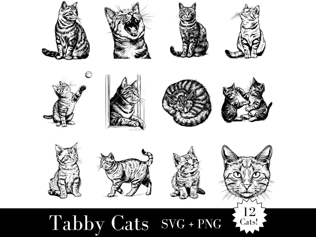 Tabby Cats SVG and PNG 12 Cats Included - Etsy