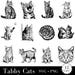 Tabby Cats SVG and PNG 12 Cats Included - Etsy