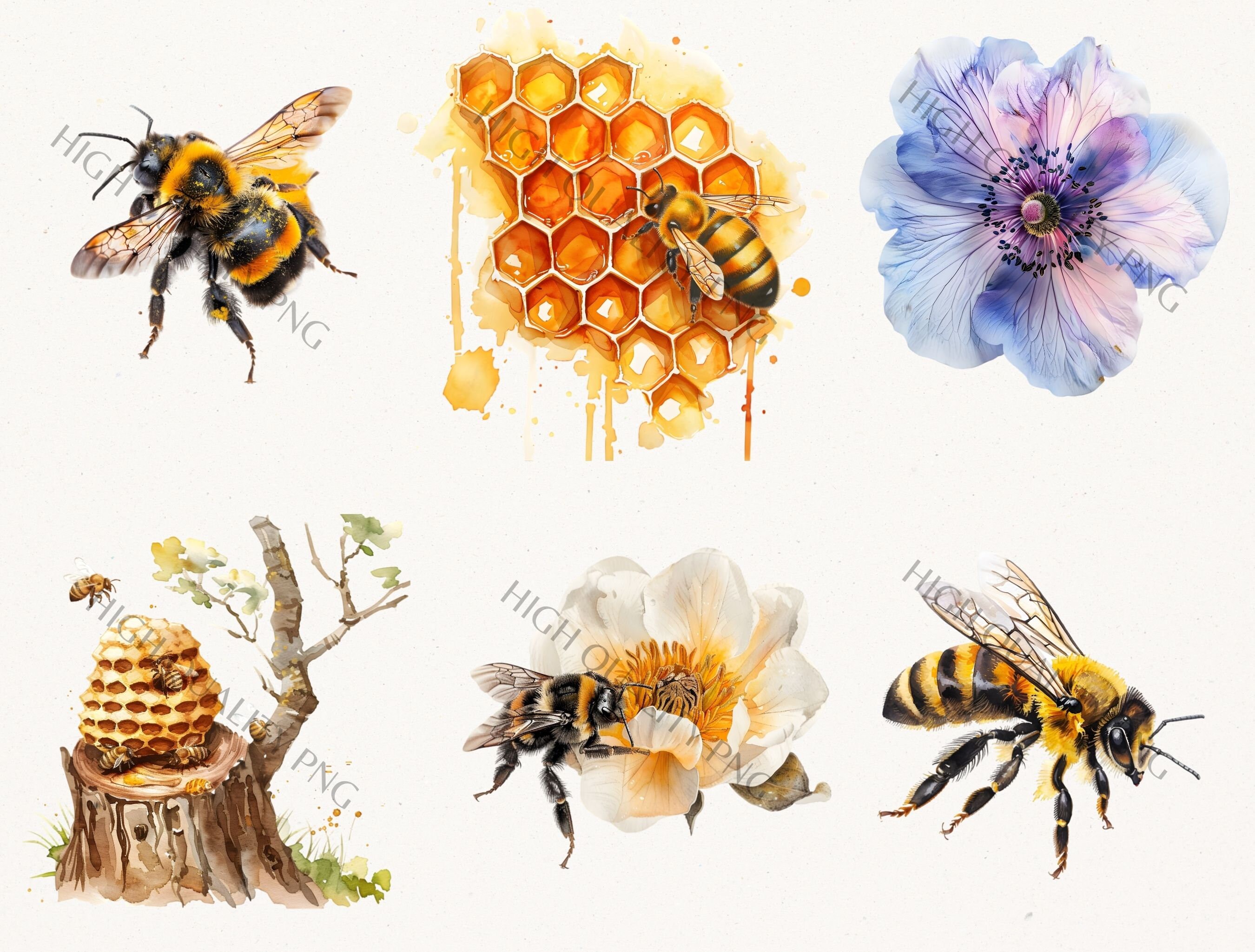 Watercolor Bee Clipart Beekeeper Pollen Flowers Garden Beehive ...