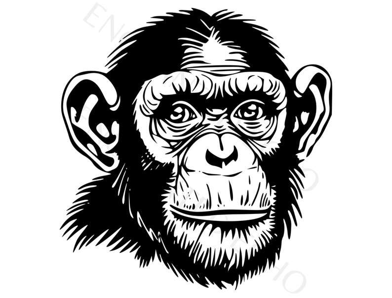 Chimpanzee SVG + PNG Set - Chimpanzee Face - Chimp Ape Vector - Etsy
