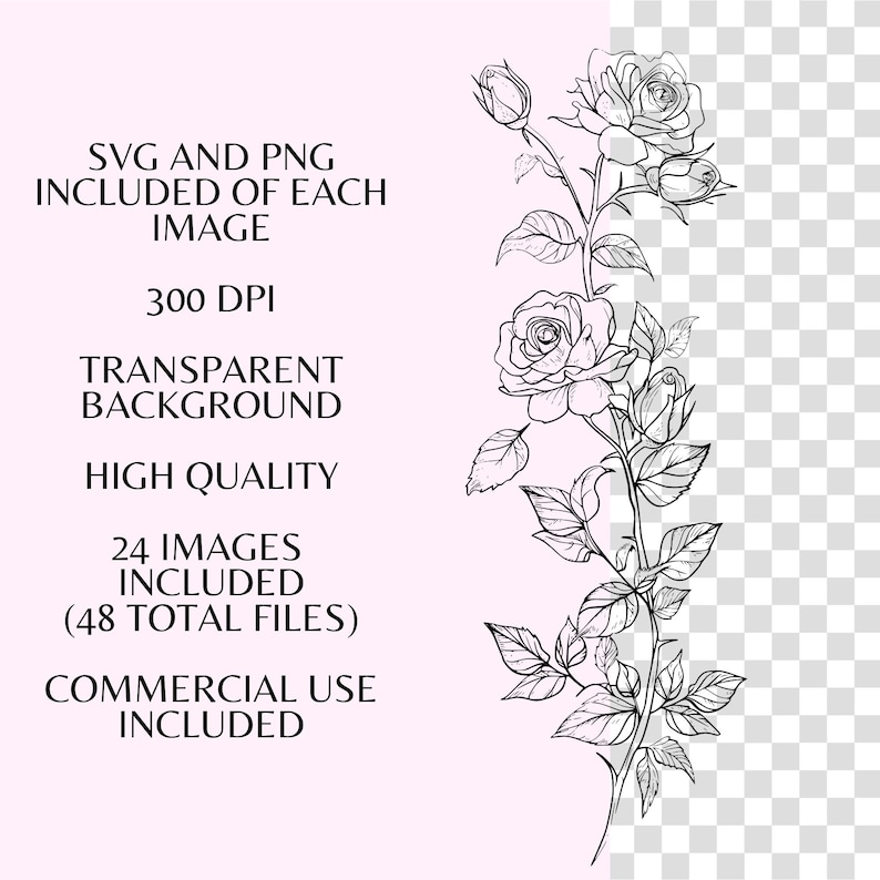 Vertical Floral Borders SVG + PNG Bundle – Delicate Flower Sketch ...