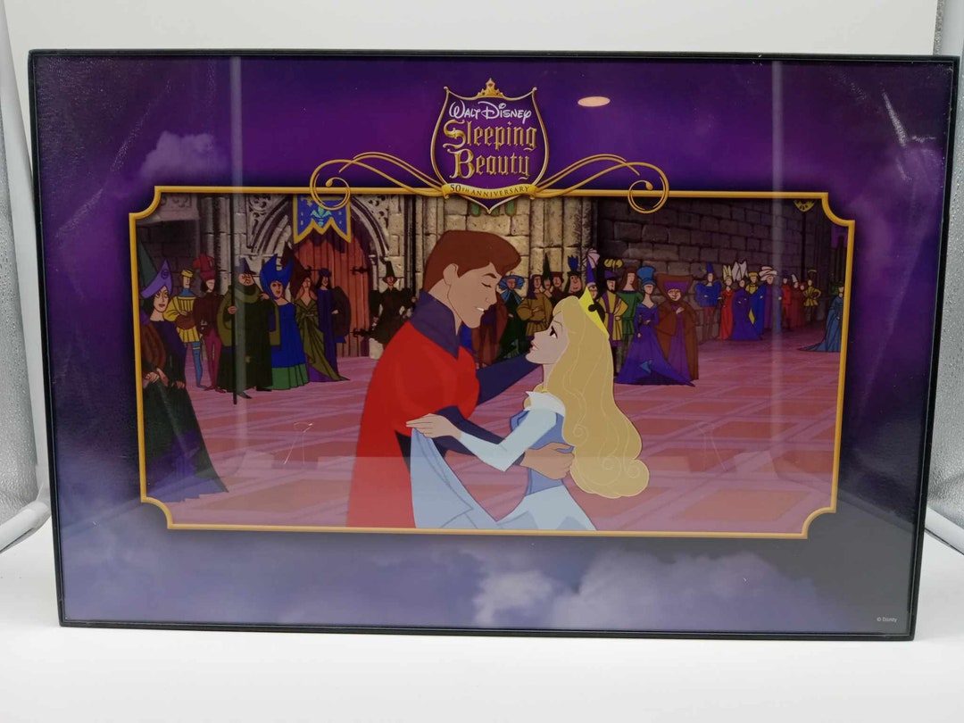 Walt Disney Sleeping Beauty Frame 17x11 Inches - Etsy