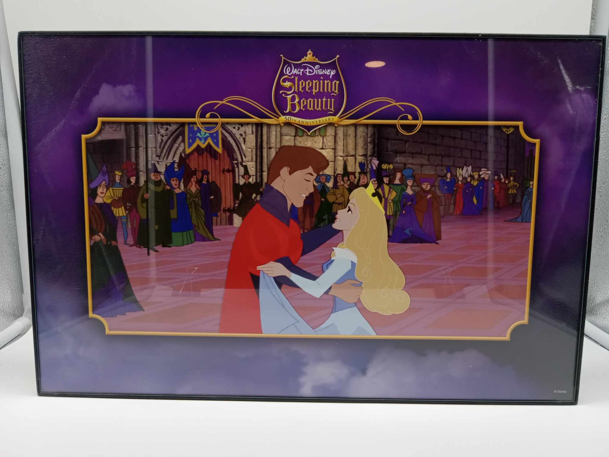Walt Disney Sleeping Beauty Frame 17x11 Inches - Etsy