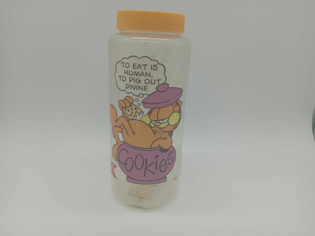 Garfield Water Bottle Drink Vintage Kmart - Etsy
