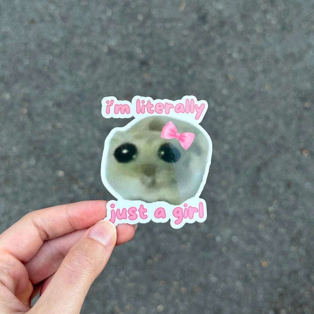 I'm Literally Just A Girl Sad Hamster Car Sticker Car Decal Bumper ...