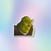 Shrek Car Sticker Car Decal Bumper Sticker Funny Car Stickers Meme ...