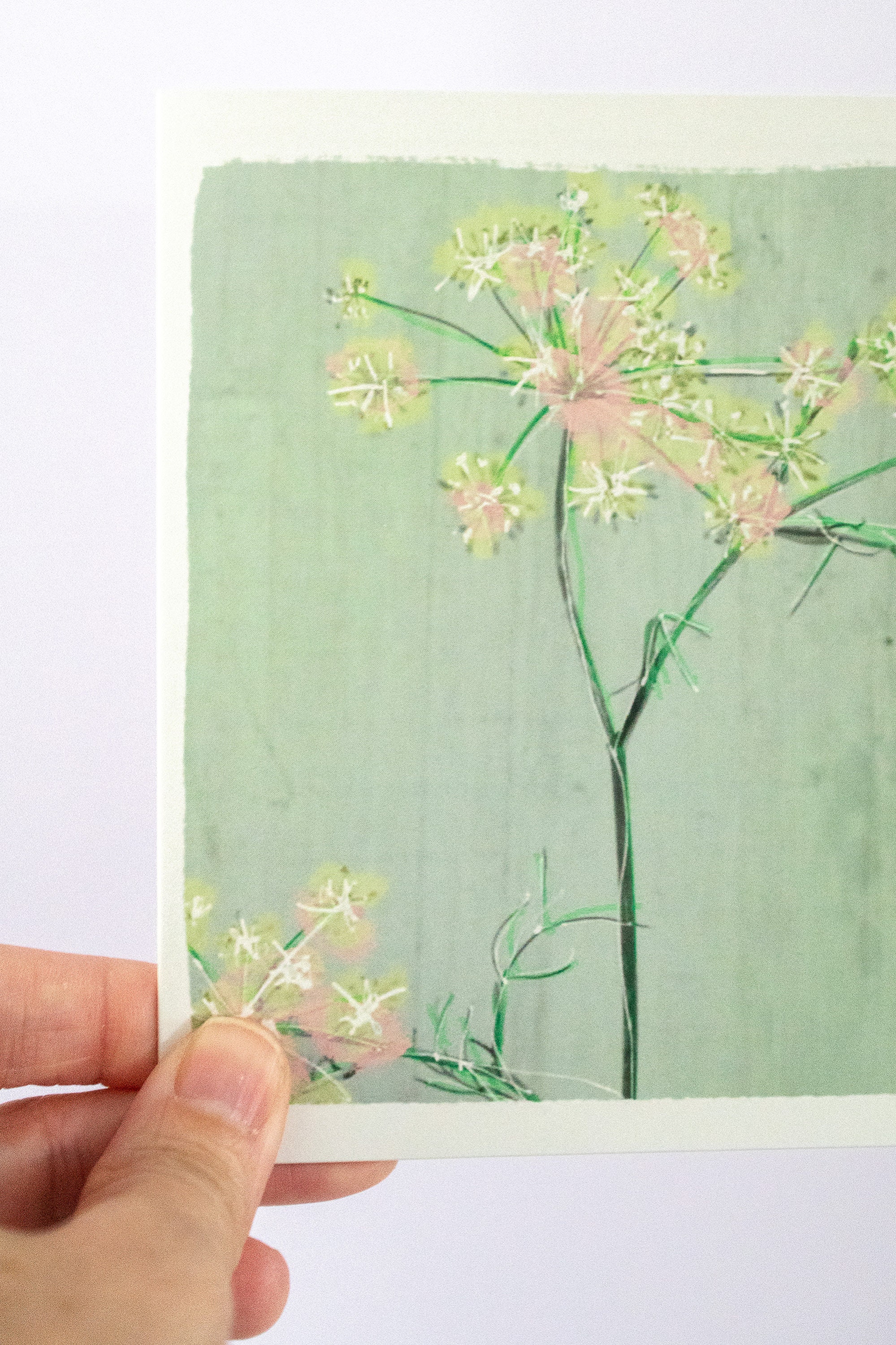 Dainty Flower Art, Garden Art Print, Botanical Greeting Cards, Fennel ...
