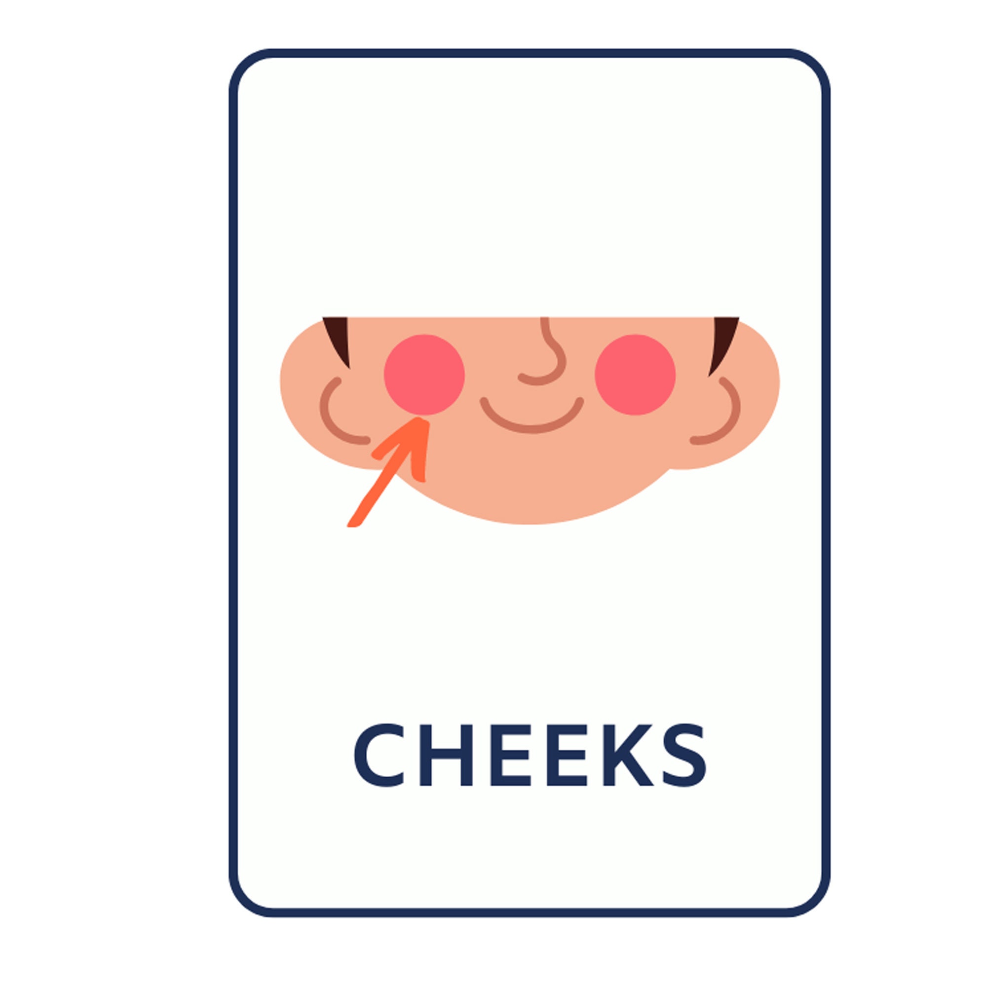 White Neutral Parts of the Body Flashcards - Etsy