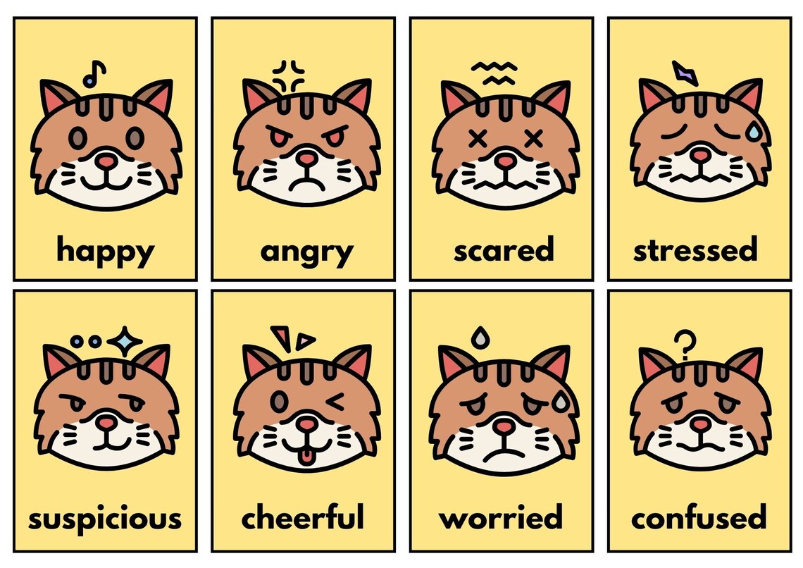 52 Feelings Flash Cards, Emotions Chart, Montessori Materials ...