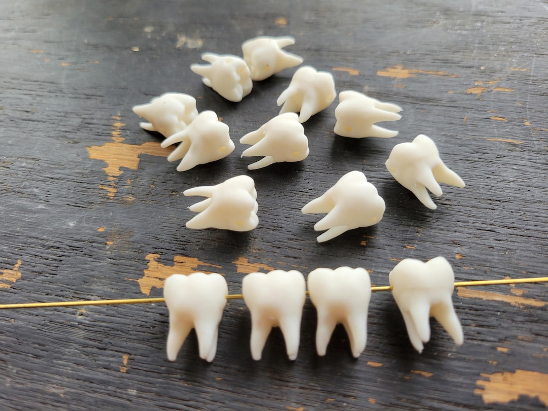Human Teeth Beads! Horizontal Hole White Resin Teeth Beads, Jewelry ...