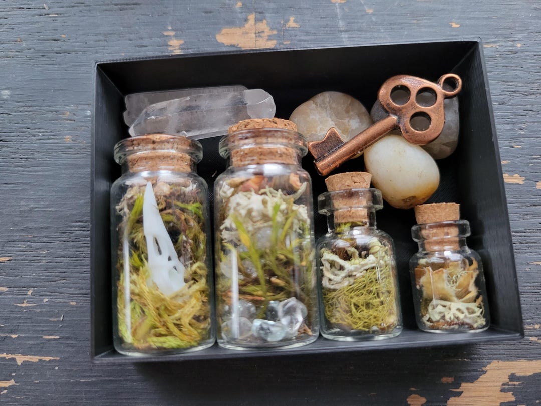 Terrarium Treasure Box! Bottled Moss, Lichen & More! Cottagecore ...